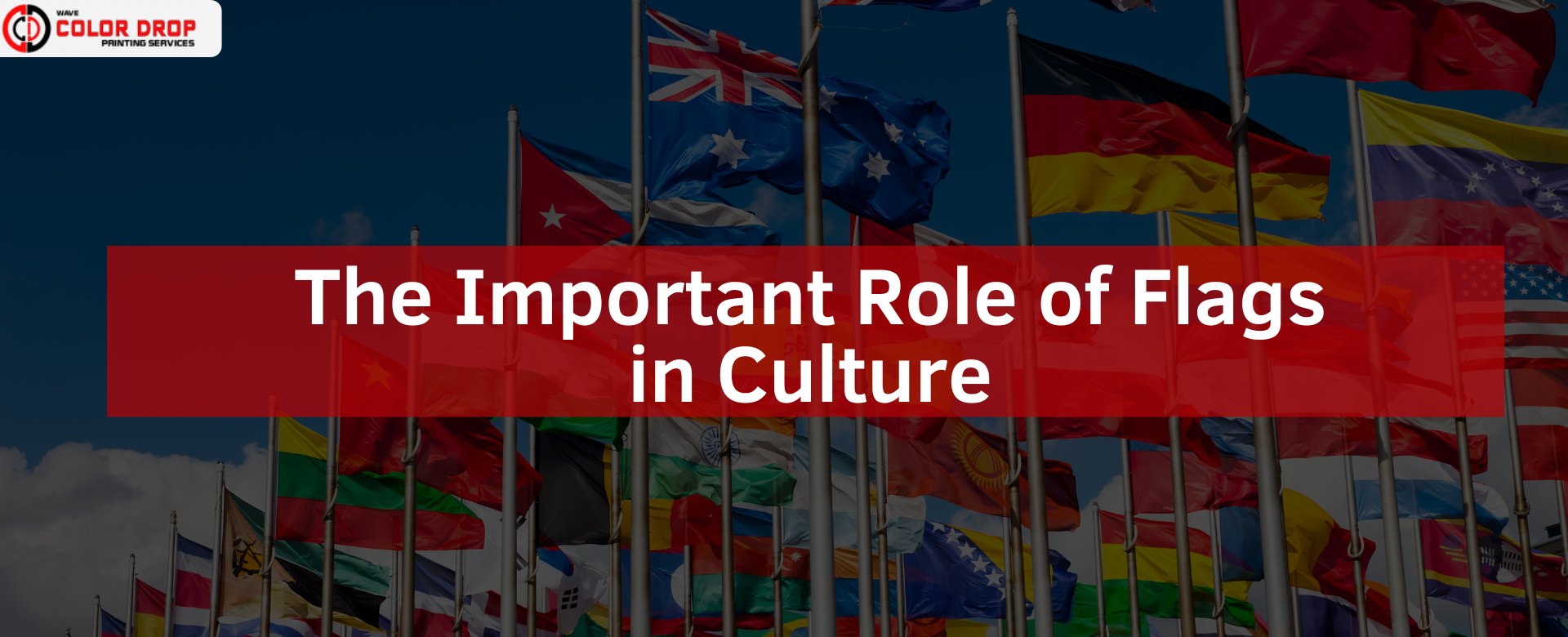 Where to Buy Flags in Dubai?